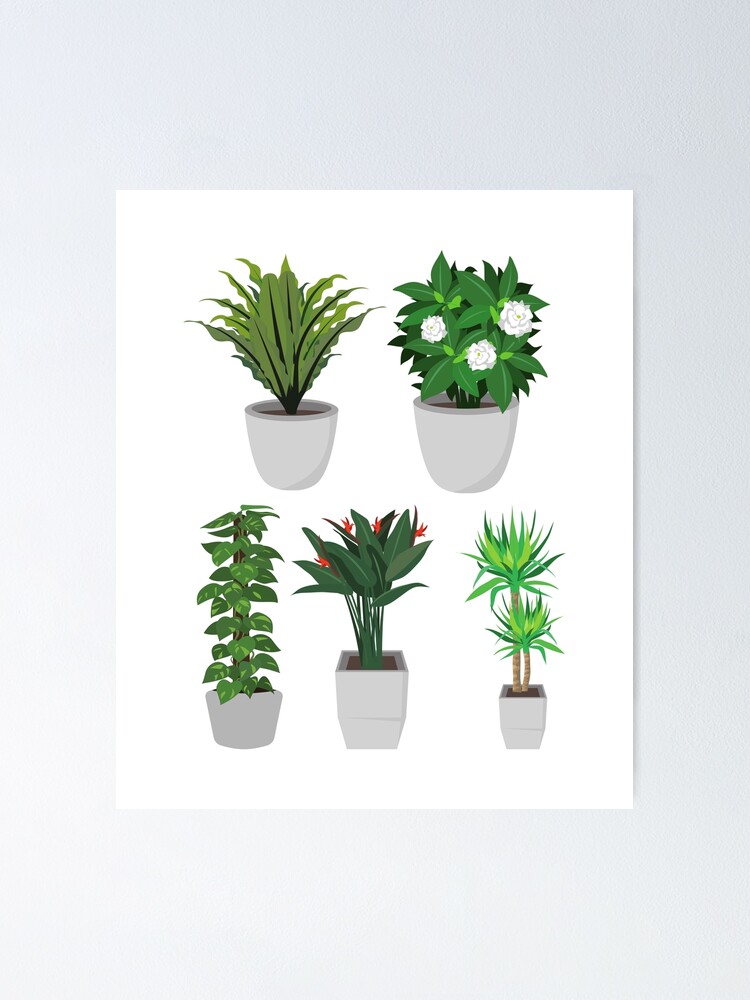 "Potted plants." Poster for Sale by classy-design77 | Redbubble