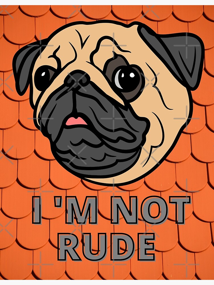 "I AM NOT RUDE" Poster by NEWMAN100 | Redbubble