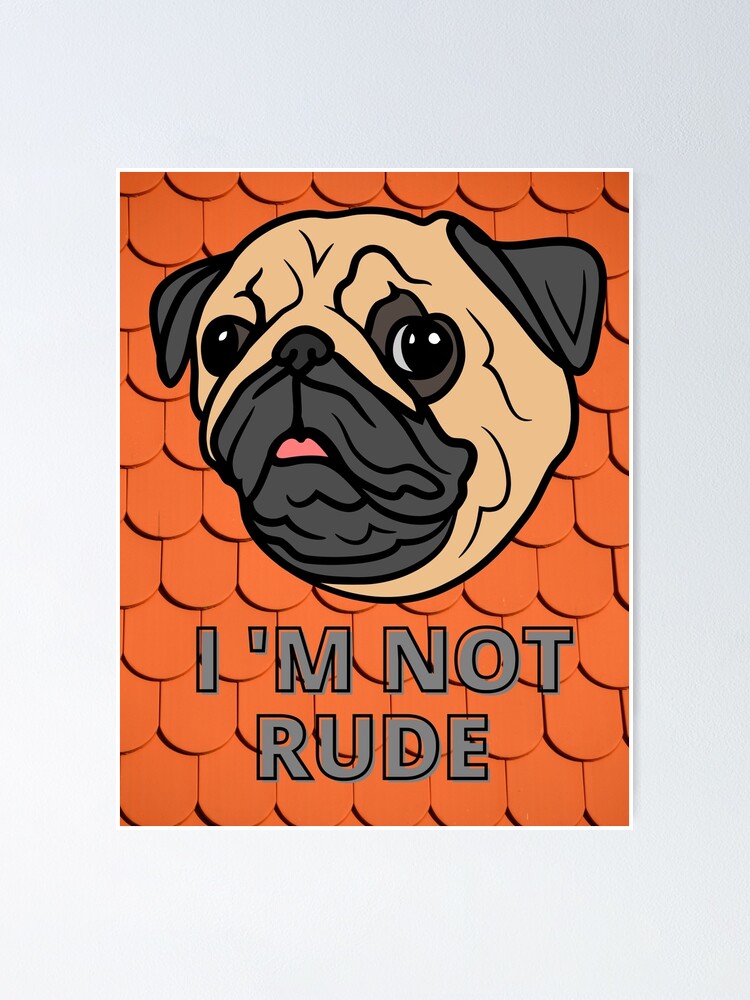 "I AM NOT RUDE" Poster by NEWMAN100 | Redbubble