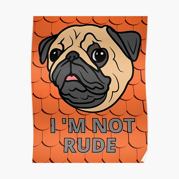 "I AM NOT RUDE" Poster by NEWMAN100 | Redbubble