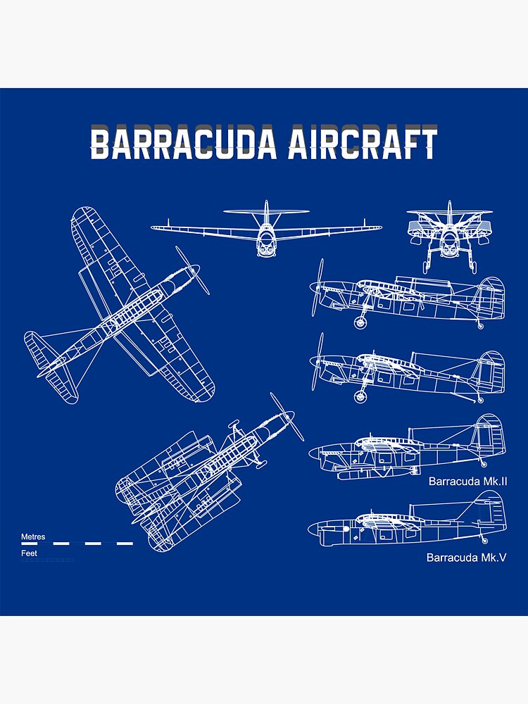 "Barracuda Bomber Aircraft Airplane Blueprint" Sticker for Sale by ...