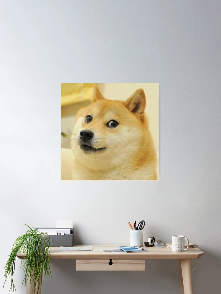 Doge Original Poster