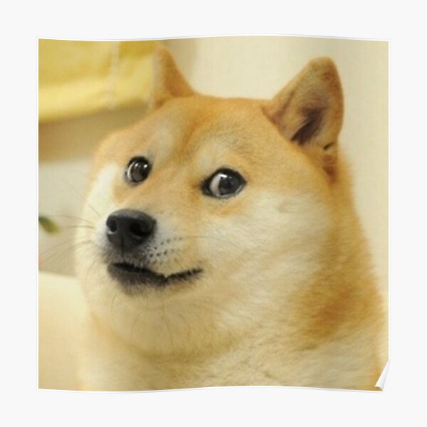 "Doge Meme" Poster for Sale by Lutubert | Redbubble