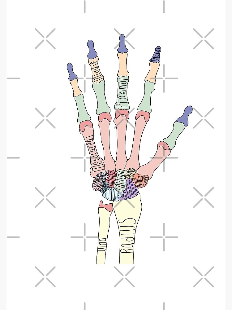 "Labeled Hand Anatomy " Journal for Sale by Katherine Winner | Redbubble