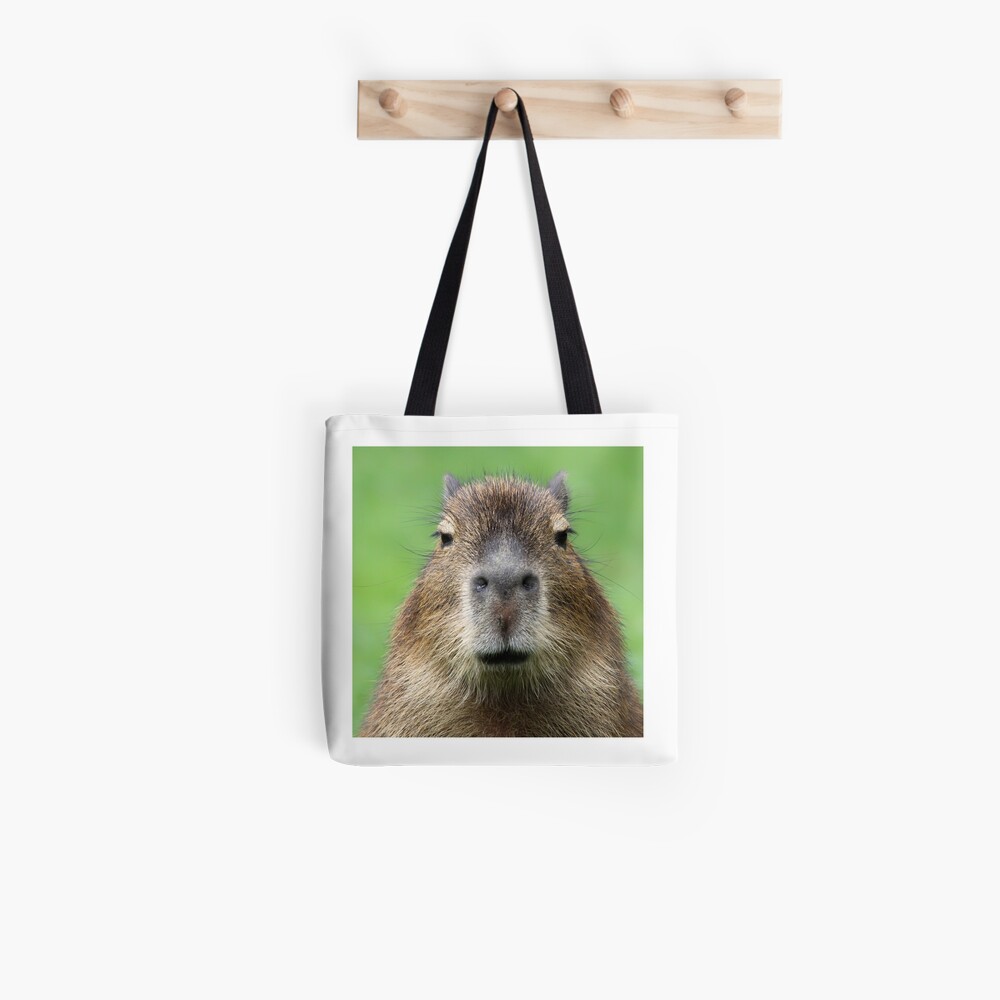 "Capybara Stare - Meme" Tote Bag for Sale by NotaHorse | Redbubble