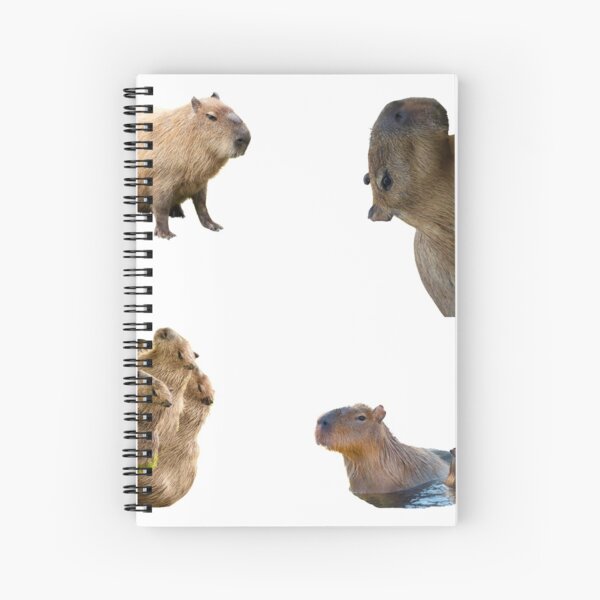 "1st Angry Capybara Stickers Package. Funny Capybaras For Every ...