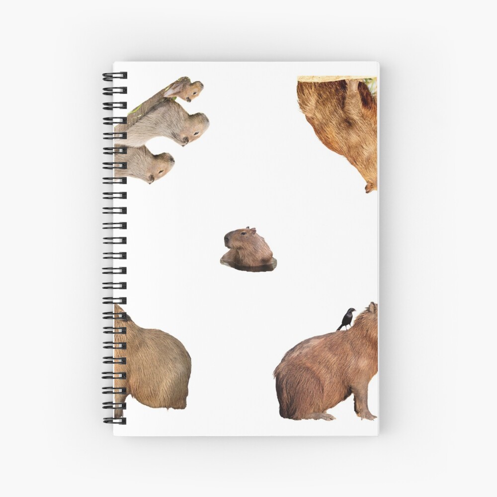 "2nd Angry Capybara Stickers Package. Funny Capybaras For Every ...