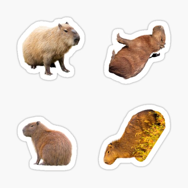 "1st Depressed Capybara Stickers Package. Funny Capybaras For Every ...