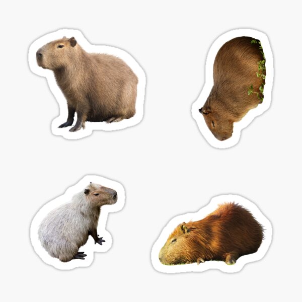 "2nd Depressed Capybara Stickers Package. Funny Capybaras For Every ...