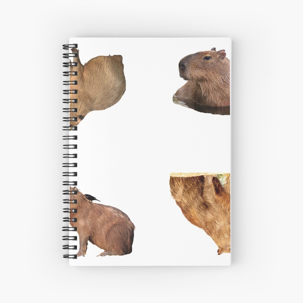 "3rd Majestic Capybara Stickers Package. Funny Capybaras For Every ...