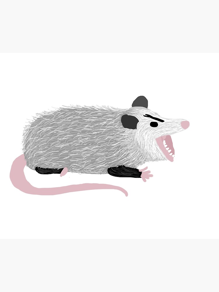 "Angry Screaming Possum Digital Art" Poster for Sale by Nateynatee ...