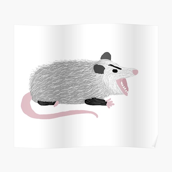 "Angry Screaming Possum Digital Art" Poster for Sale by Nateynatee ...