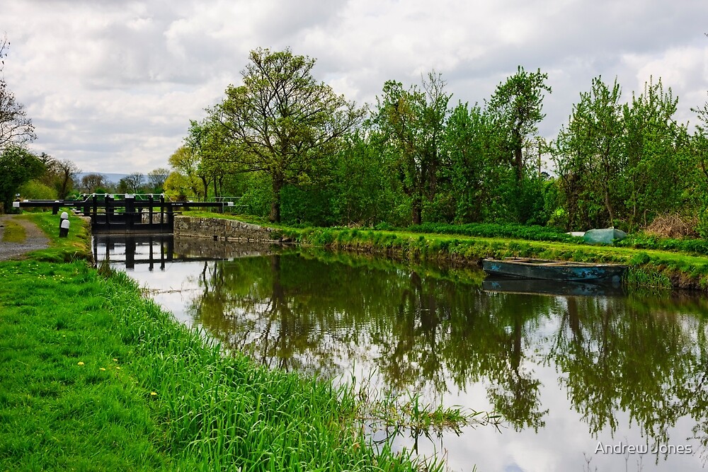 "Fenniscourt Lock, Barrow Navigation, Bagenalstown, County Carlow" by ...
