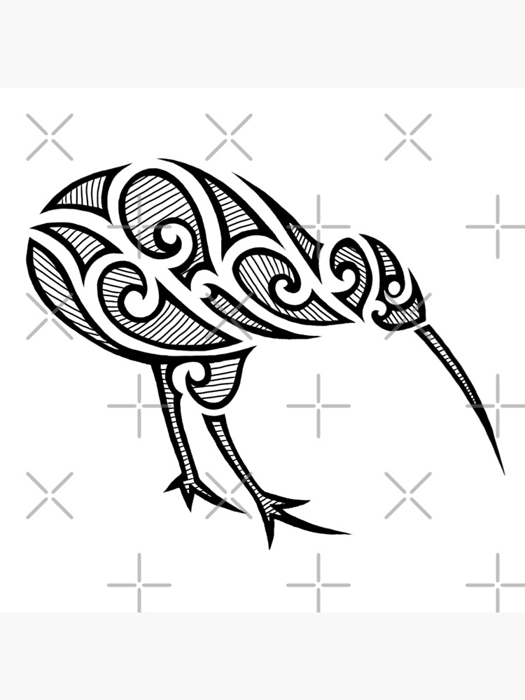 "New zealand maori kiwi" Art Print for Sale by attracdionz | Redbubble