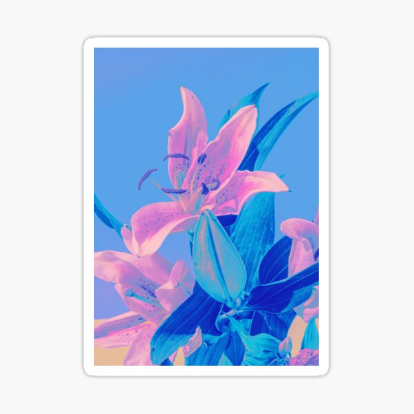 "Pink Lily Flower Blue Leaves" Sticker for Sale by AtArtCorner | Redbubble
