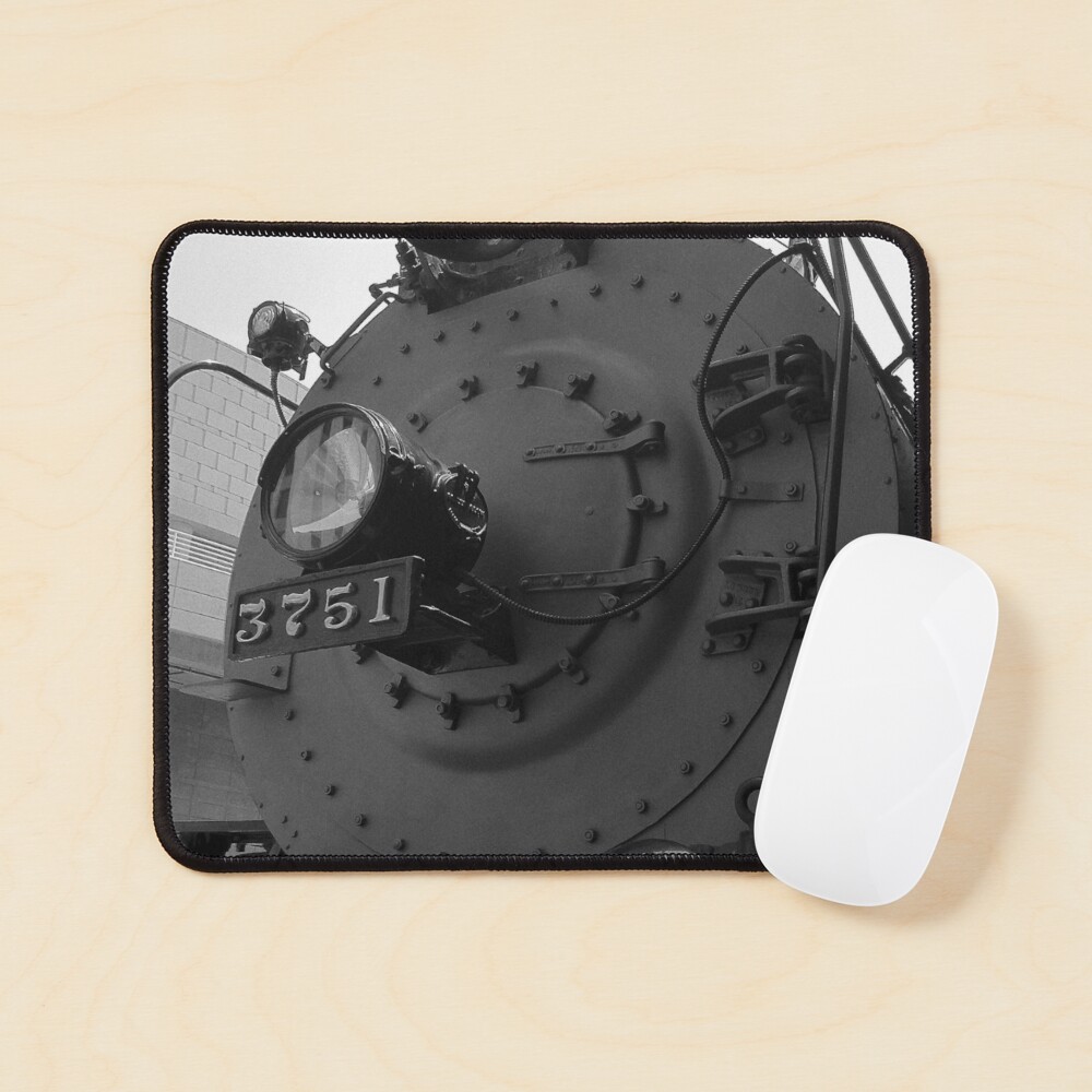 "Steam Engine 3751" Premium Oversized Hoodie for Sale by douglasewelch ...