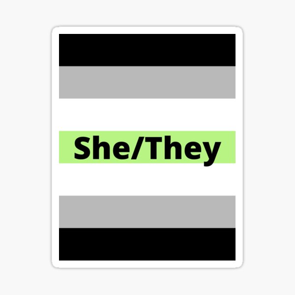 "Agender flag with she/they pronouns" Sticker for Sale by ...