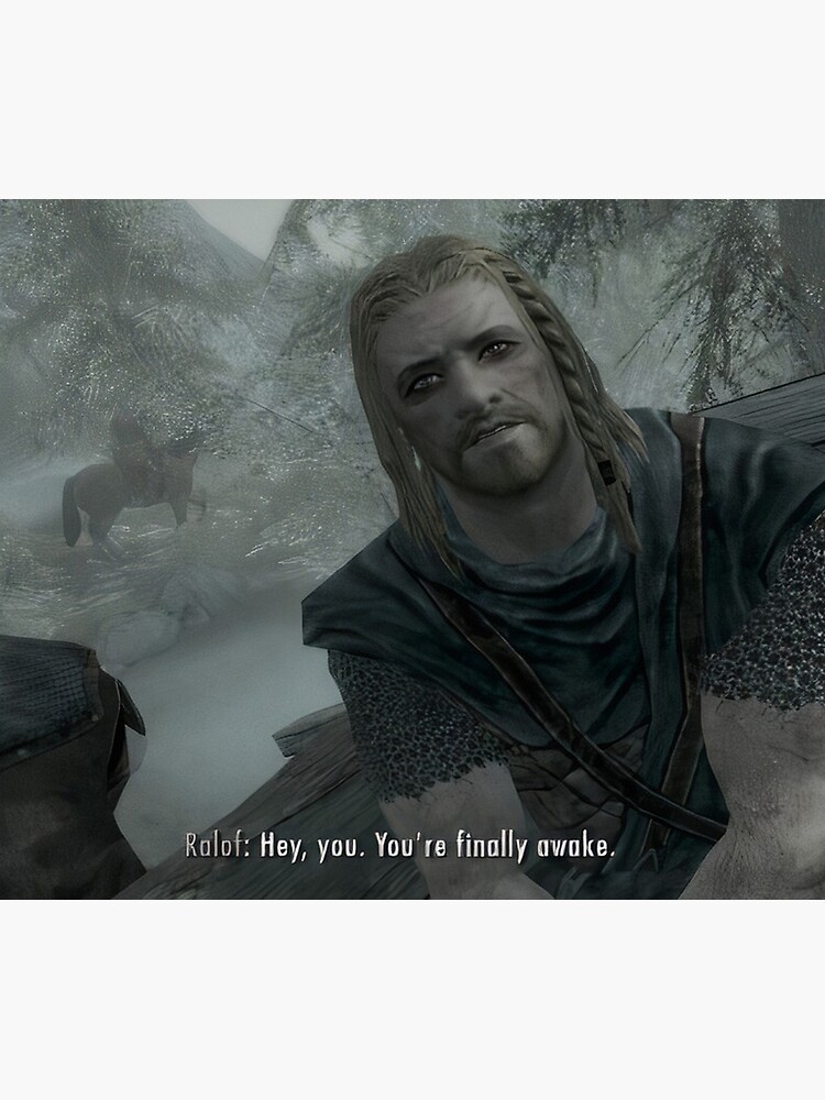 "Hey You Youre Finally Awake Skyrim Meme" Poster by Medd-99 | Redbubble