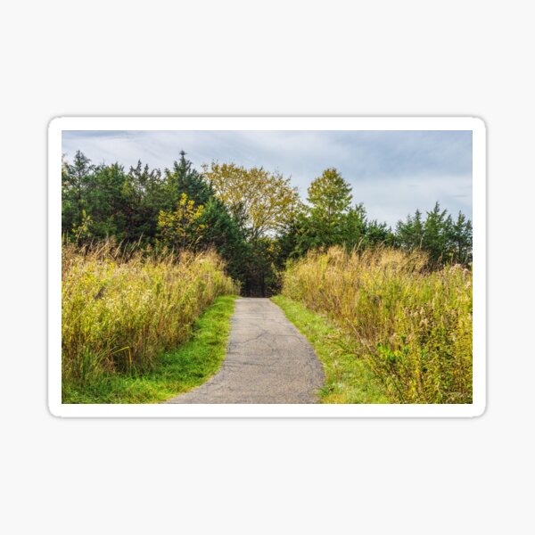 "Runge Pathway" Sticker for Sale by mljdwhite | Redbubble
