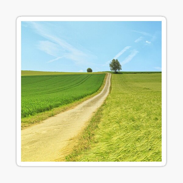 "On a beautiful natural path," Sticker by Onetops | Redbubble