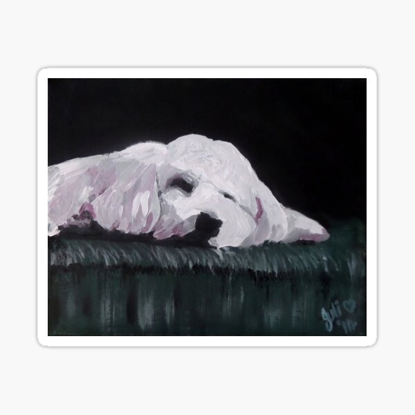 "Charlie the Dog Sleeping" Sticker for Sale by Krusty | Redbubble