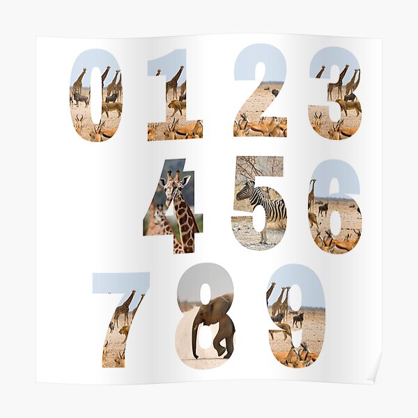 "Safari Animal Digits Numberblocks" Poster for Sale by Sara3B | Redbubble