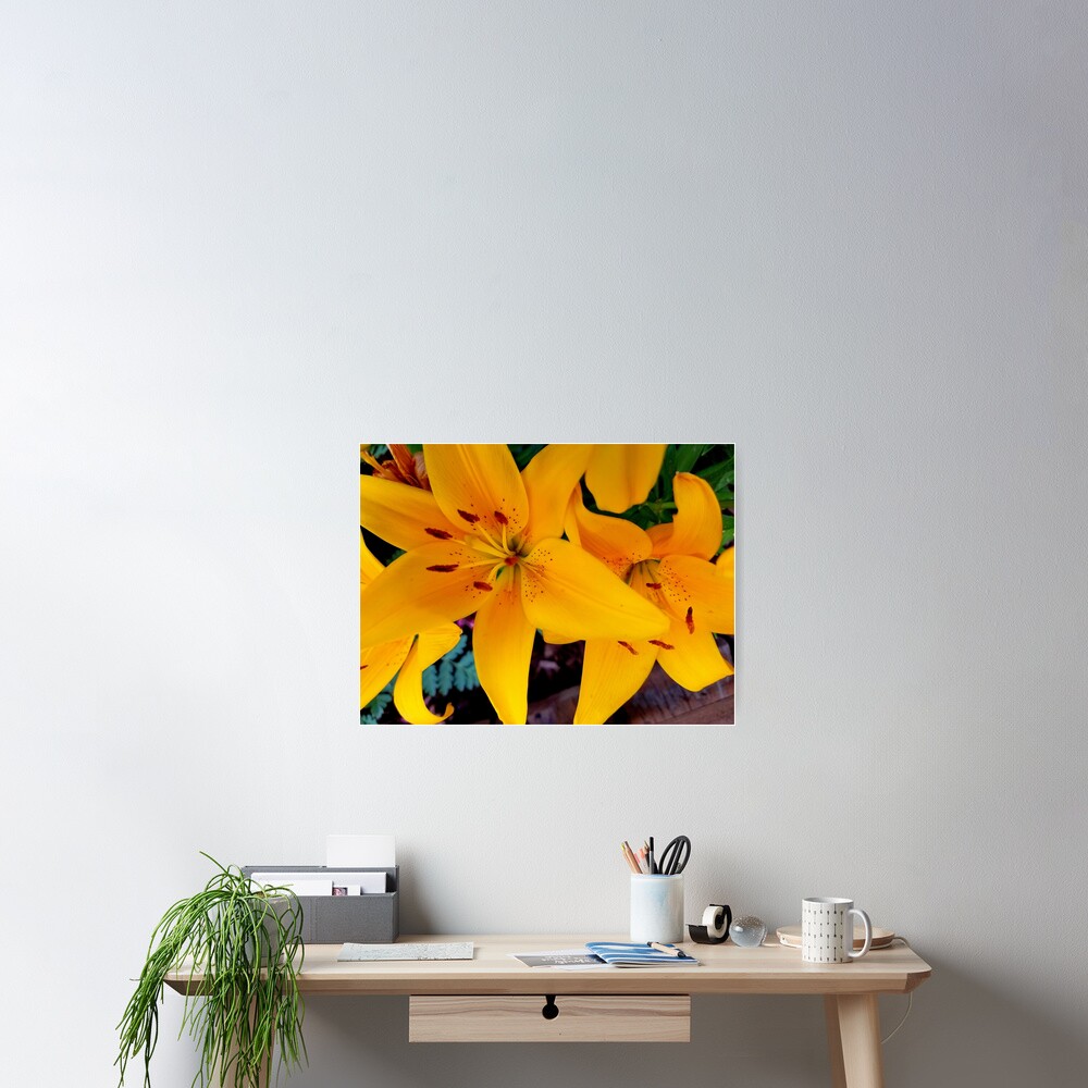"Lilly" Poster for Sale by SalzmanVision | Redbubble