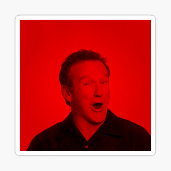 "Robin WIlliams - Celebrity" Sticker by Powerofwordss | Redbubble