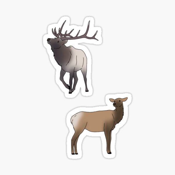 "Bull Elk and Cow Elk " Sticker for Sale by Blaudoge | Redbubble