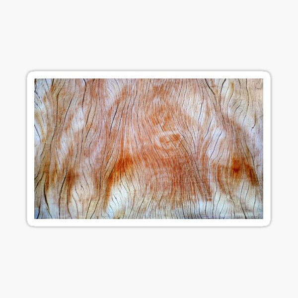 "wooden structure " Sticker by Sergieiev | Redbubble