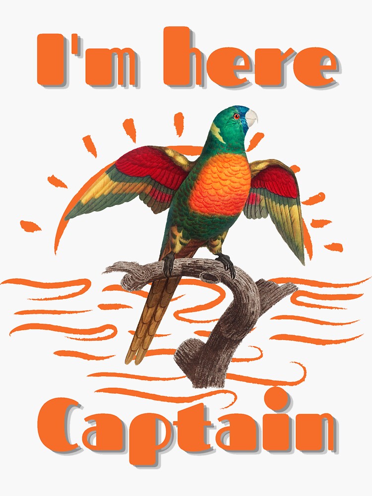 "Colored parrot Pirate Captain" Sticker by Design-prints | Redbubble