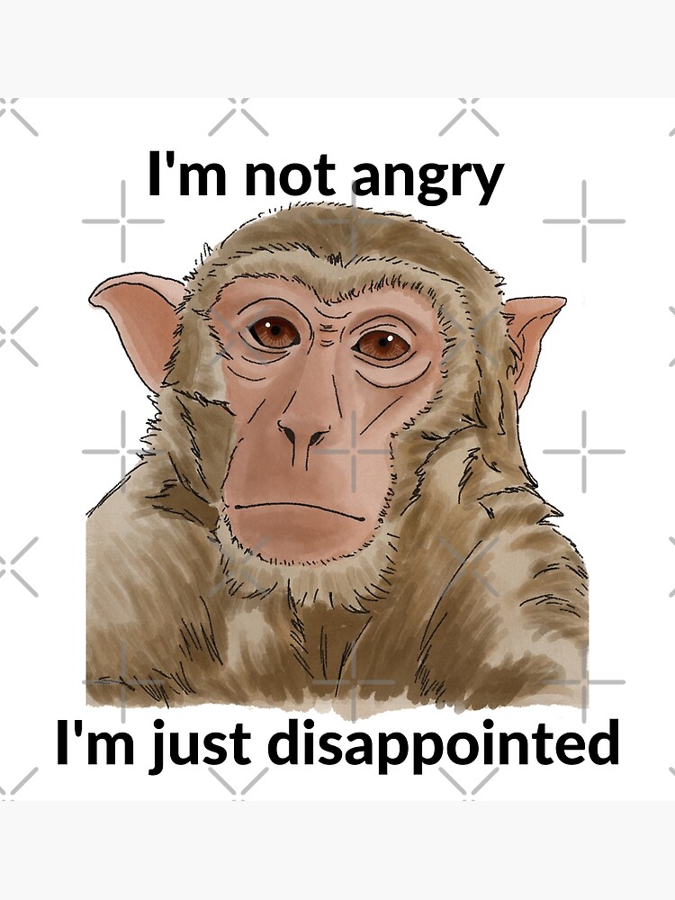 Sad Monkey Sad Monkey Nagpur Photos