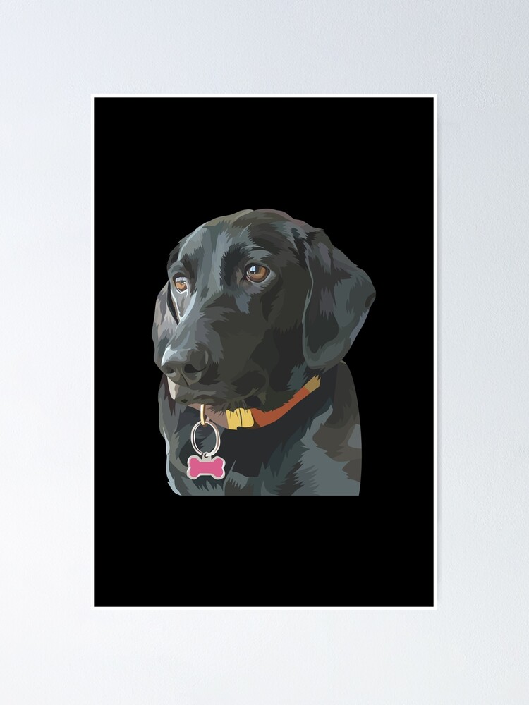 "black lab" Poster for Sale by zaher97 | Redbubble