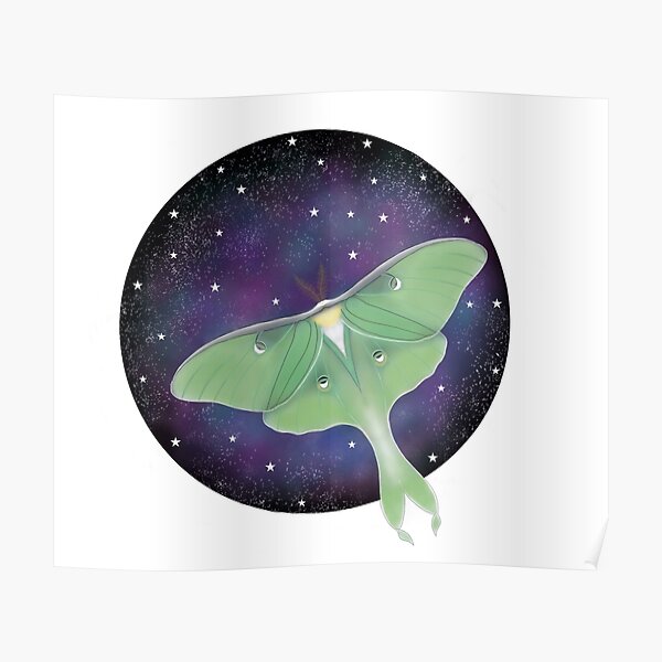 "Luna moth in galaxy" Poster by Death-byart | Redbubble