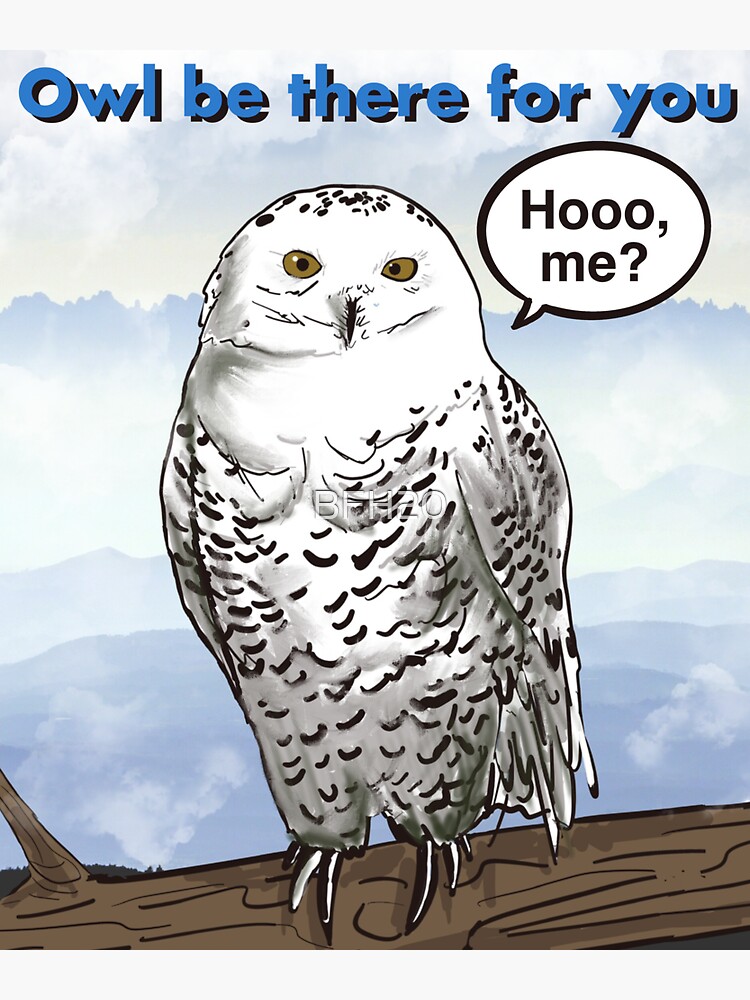 "Owl be there for you Version 2" Sticker for Sale by BFH20 | Redbubble