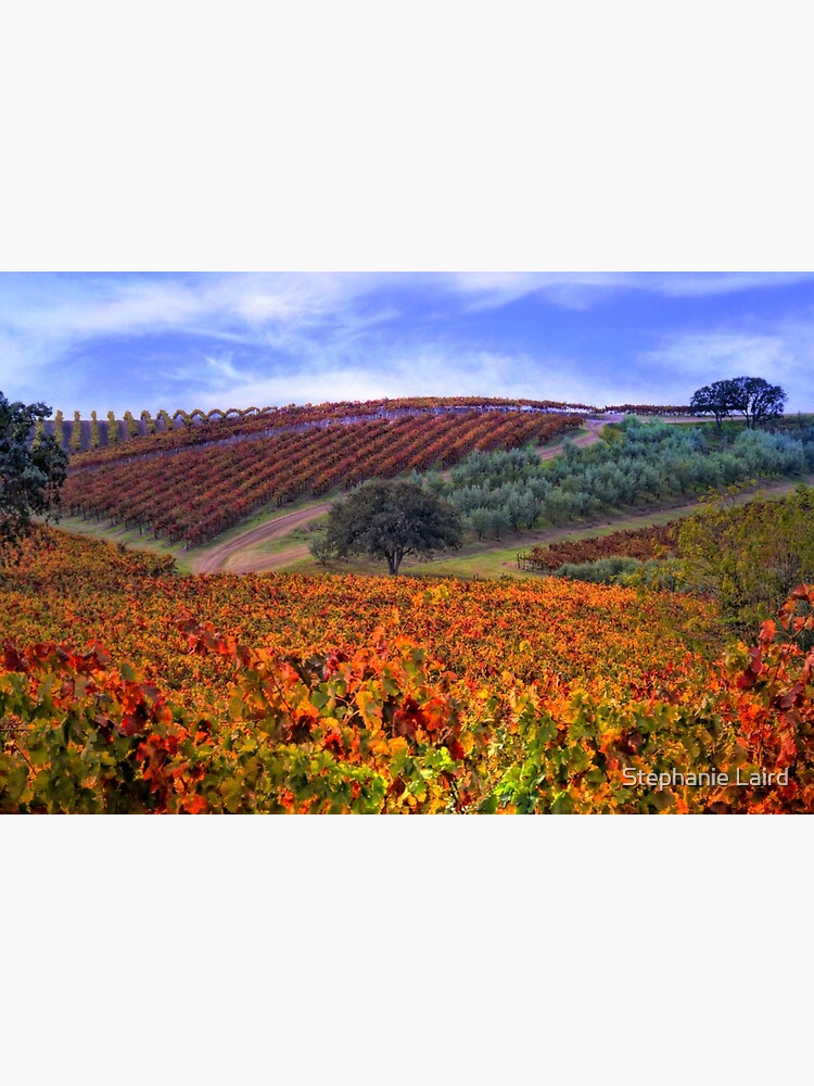 "Vineyard Color" Poster by LazyL | Redbubble