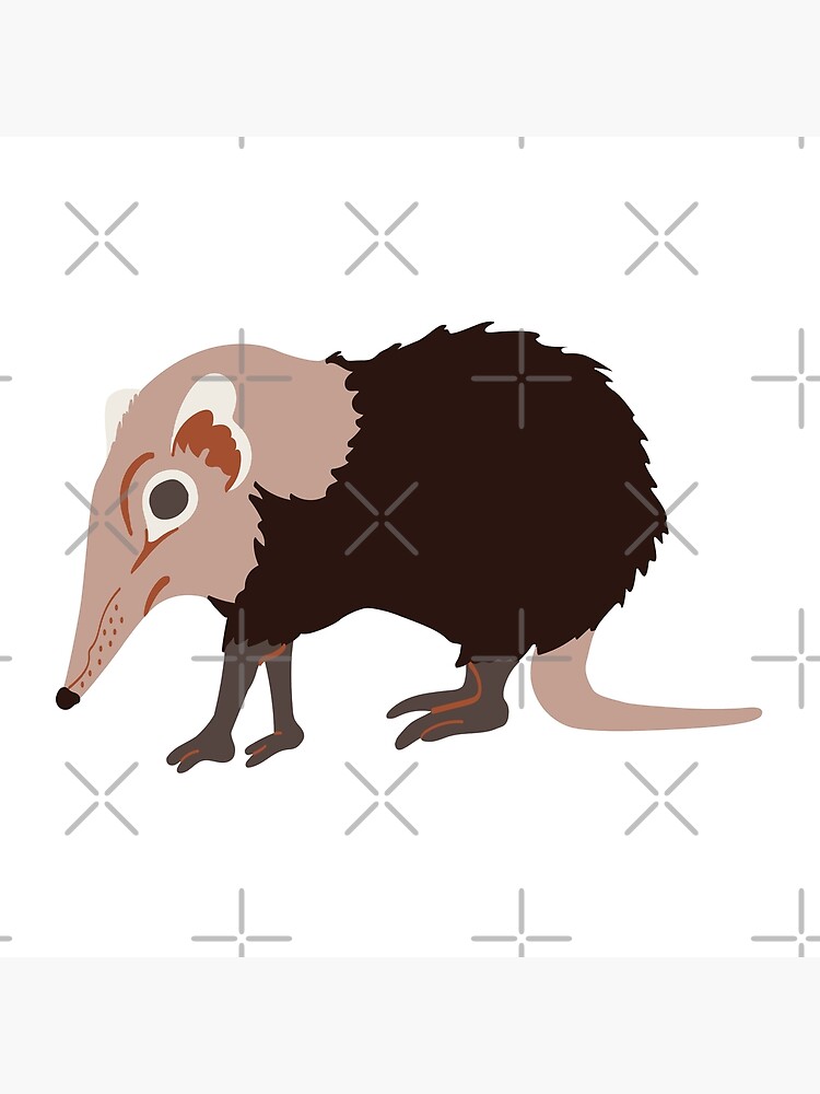"Giant Brown Elephant Shrew Meme " Poster for Sale by siyaforshort ...