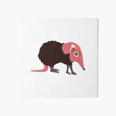 "Giant Pink Elephant Shrew Meme " Art Board Print by siyaforshort ...