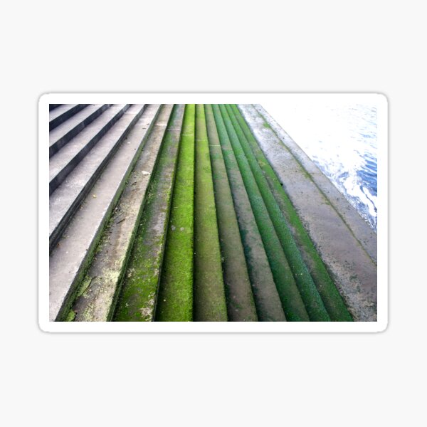 "Shades" Sticker by Meganpolte | Redbubble