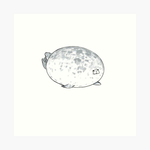"CHONKY SEAL - Chonk Series (no text)" Art Print for Sale by Aardboi ...