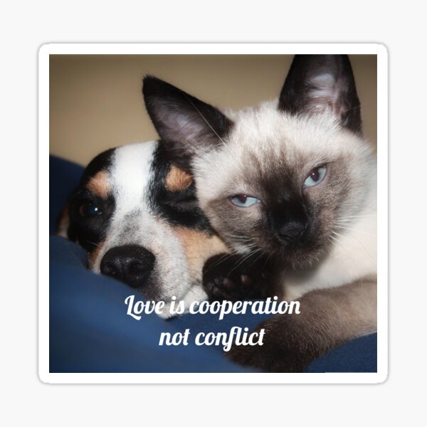 "Love is cooperation not conflict." Sticker for Sale by Sansiri | Redbubble