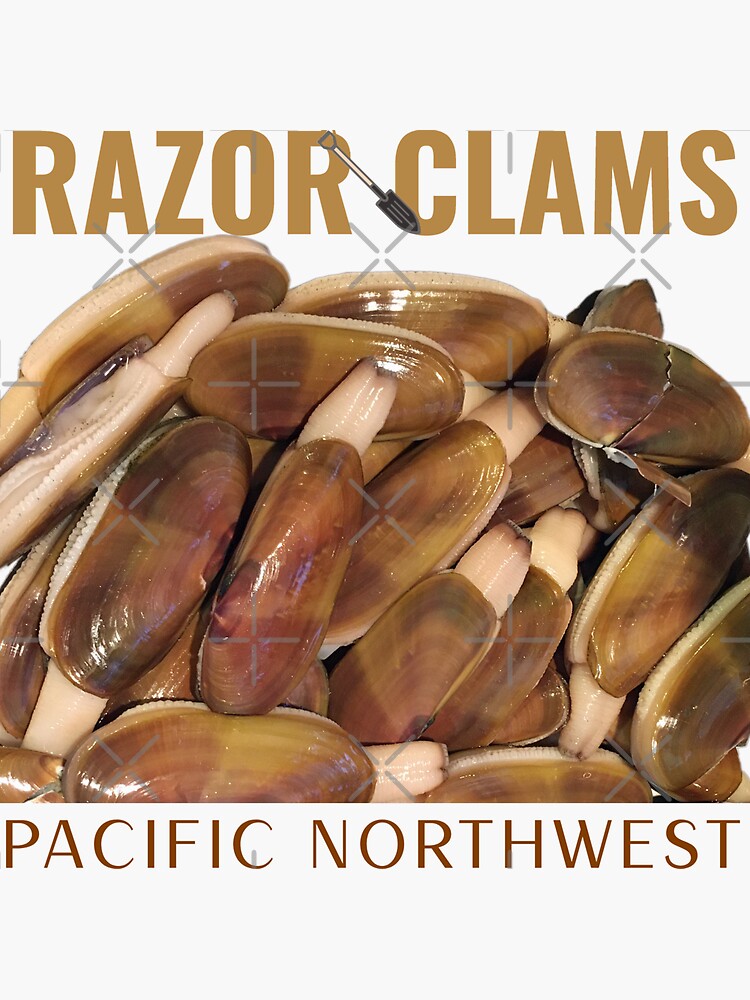 "Pacific Northwest Razor Clams from Ocean Shores, Washington State ...