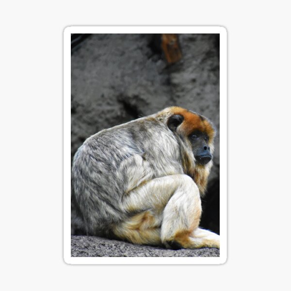 mrsb23 Shop | Redbubble