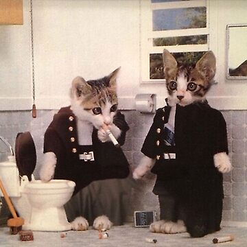 "Smoking Kitten" Poster for Sale by doracuelle | Redbubble