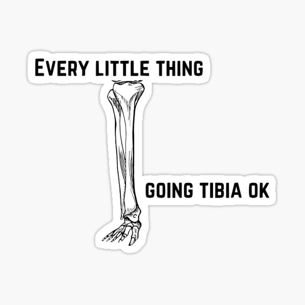 "Human Anatomy Joke: Tibia" Sticker for Sale by Kclaff11 | Redbubble