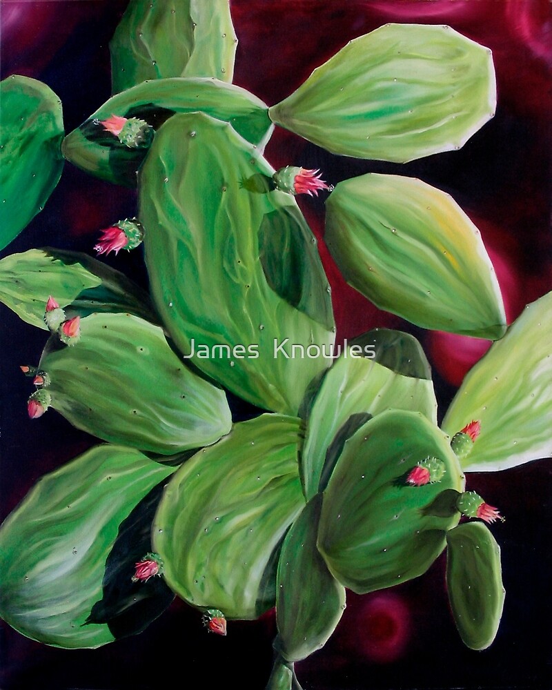 ""Nopal" - oil painting of a Mexican cactus" by James Knowles | Redbubble