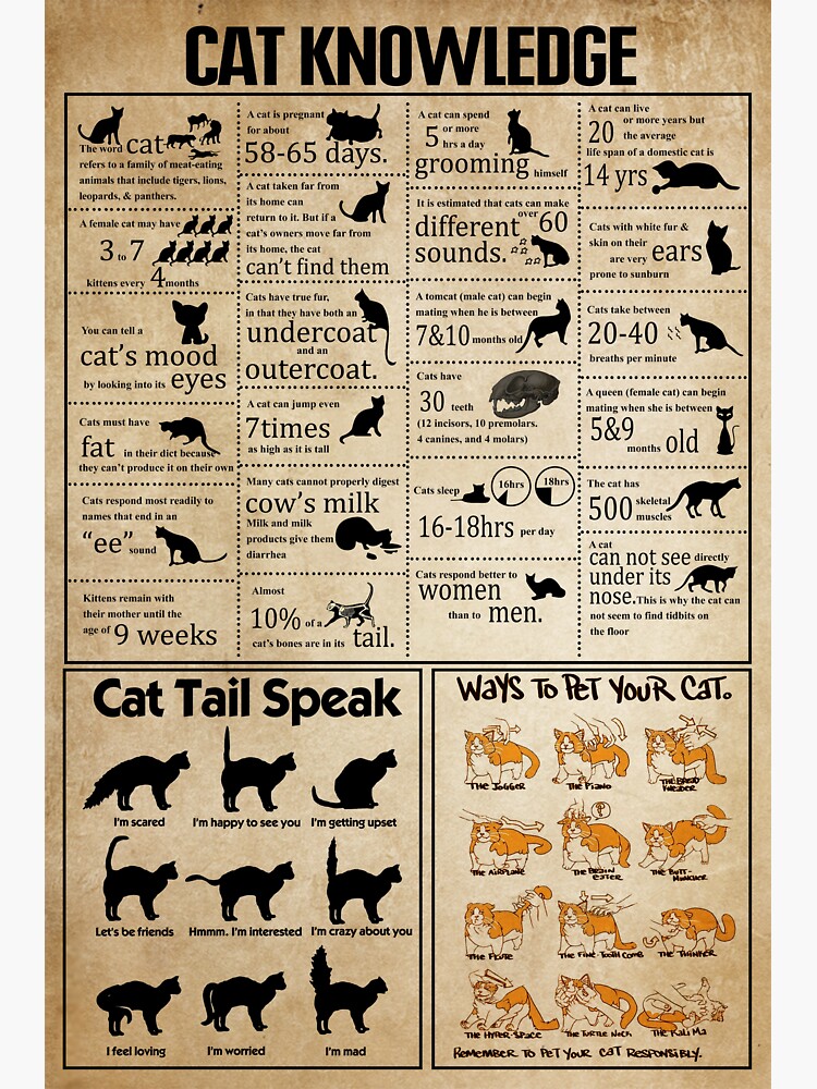 "Cat Knowledge Poster " Sticker for Sale by JohnaBB | Redbubble