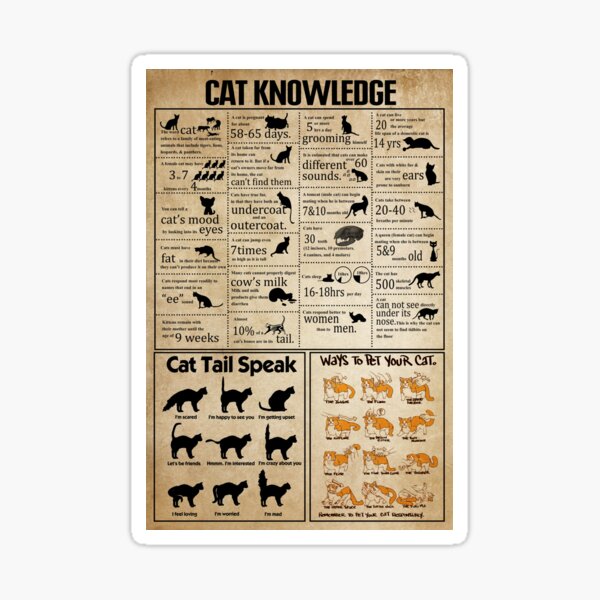 "Cat Knowledge Poster " Sticker for Sale by JohnaBB | Redbubble