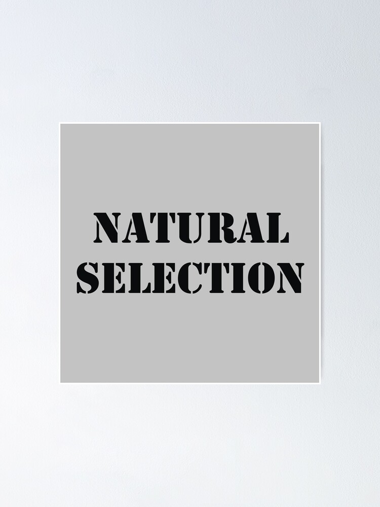 "Natural Selection" Poster by lambojefry | Redbubble