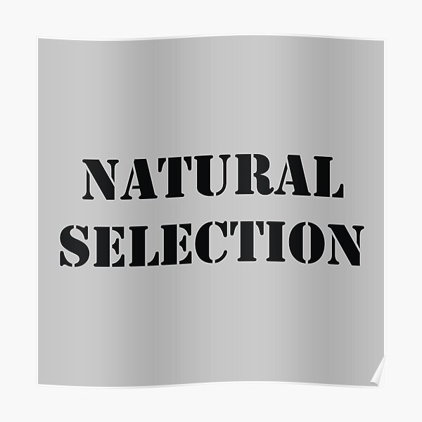 "Natural Selection" Poster by lambojefry | Redbubble